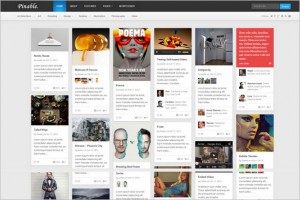 50 Pinterest Inspired Themes for WordPress | WP Daily Themes