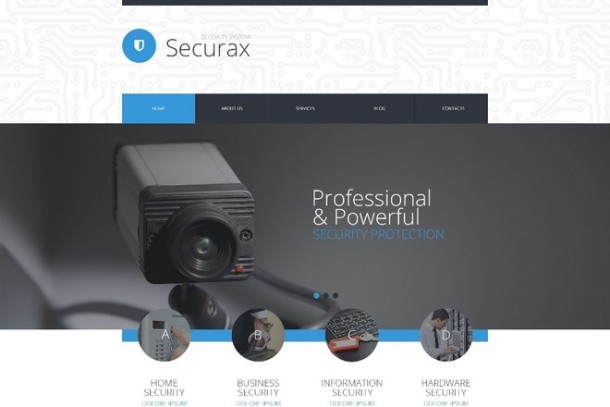 Top 6 WordPress Themes Custom-built for Security Company Websites | WP ...