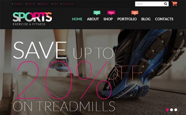 40 Best WordPress eCommerce Themes 2015 - WP Daily Themes